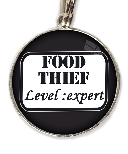 food thief – Huisdier Penning