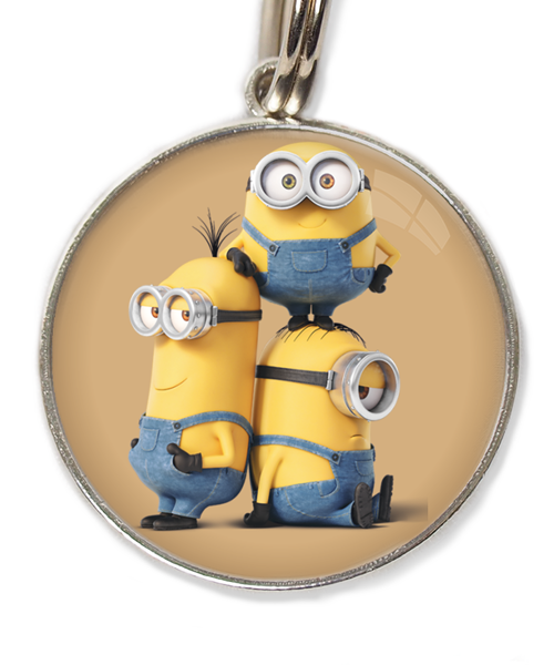 Minions 3 – Huisdier Penning