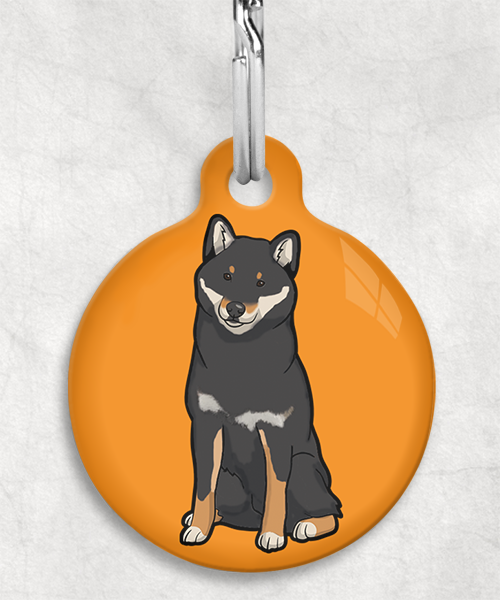 Shiba inu tricolor – Huisdier Penning